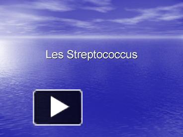 PPT – Les Streptococcus PowerPoint presentation | free to download - id ...