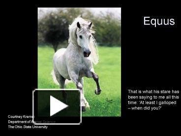 Equus presentation | free to view