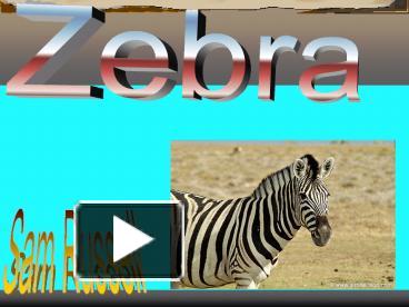 PPT – Zebra PowerPoint presentation | free to view - id: 2b1e8-ODhhM