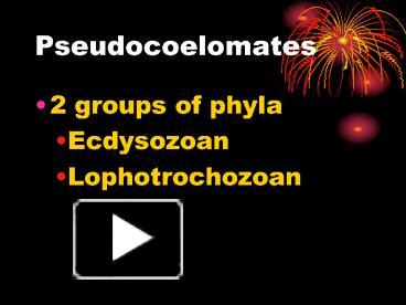 Pseudocoelomates presentation | free to view