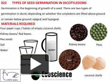 022 TYPES OF SEED GERMINATION IN DICOTYLEDONS presentation | free to view
