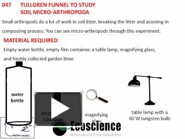 047 TULLGREN FUNNEL TO STUDY SOIL MICRO-ARTHROPODA presentation | free ...