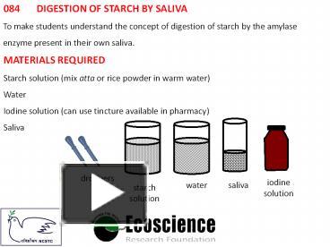 084 DIGESTION OF STARCH BY SALIVA presentation | free to view