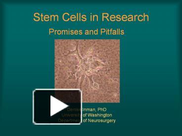 PPT – Stem Cells in Research PowerPoint presentation | free to view ...