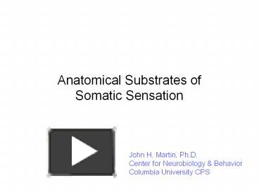 PPT – Anatomical Substrates of Somatic Sensation PowerPoint ...
