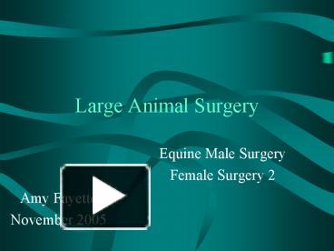 Large Animal Surgery presentation | free to view