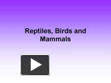 PPT – Reptiles, Birds and Mammals PowerPoint presentation | free to ...