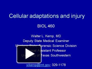 Cellular adaptations and injury presentation | free to view