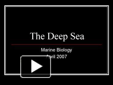 The Deep Sea presentation | free to view