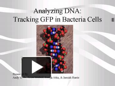 PPT – Analyzing DNA: Tracking GFP in Bacteria Cells PowerPoint ...