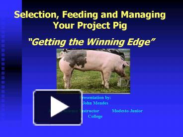 Selection, Feeding and Managing Your Project Pig presentation | free to ...