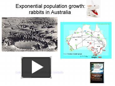 Exponential population growth: rabbits in Australia presentation | free ...