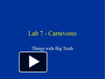 PPT – Lab 7 - Carnivores PowerPoint presentation | free to download ...