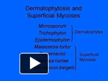 PPT – Dermatophytosis and Superficial Mycoses PowerPoint presentation ...