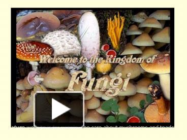 PPT – FUNGI PowerPoint presentation | free to view - id: 31136-NDc4M