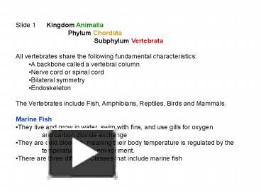 PPT – Slide 1 Kingdom Animalia PowerPoint presentation | free to ...