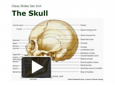 Class Slides Set 16A presentation | free to download