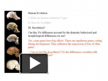 PPT – Human Evolution PowerPoint presentation | free to view - id ...