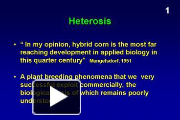 Heterosis presentation | free to view