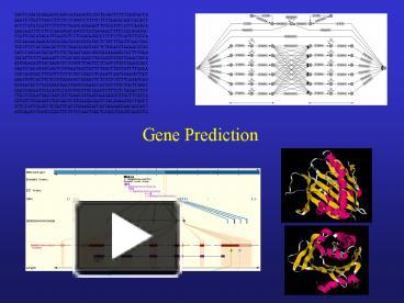 PPT – Gene Prediction PowerPoint presentation | free to view - id ...