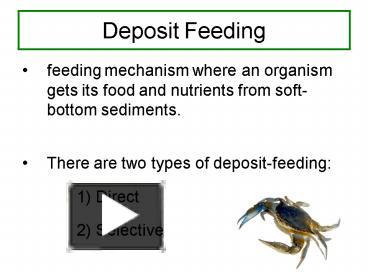 Deposit Feeding presentation | free to view