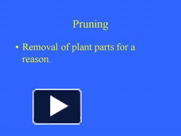 PPT – Pruning PowerPoint presentation | free to view - id: 36b98-MmIxM