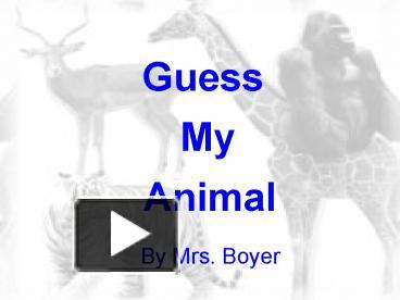 Guess presentation | free to view