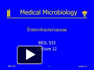 Enterobacteriaceae presentation | free to view