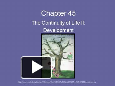 The Continuity of Life II: presentation | free to view