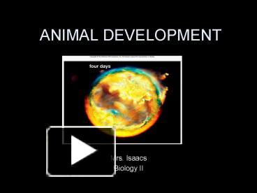 ANIMAL DEVELOPMENT presentation | free to view