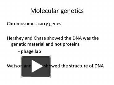 PPT – Molecular genetics PowerPoint presentation | free to view - id ...