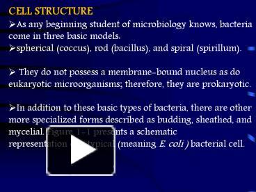 bacteria cell structure presentation | free to view