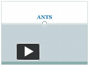 PPT – ANTS PowerPoint presentation | free to view - id: 380d80-N2ExY