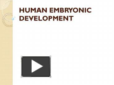 HUMAN EMBRYONIC DEVELOPMENT presentation | free to view
