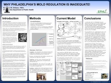 36x48 Horizontal Poster presentation | free to view