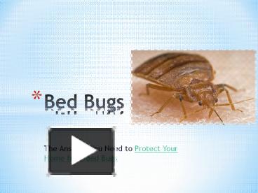 Bed Bugs - The Answers You Need to Protect Your Home from Bed Bugs ...