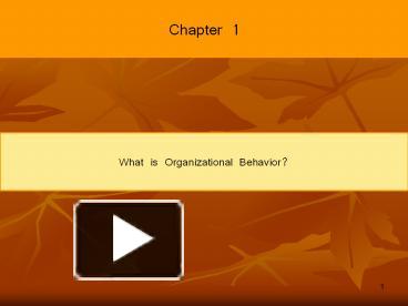 What is Organizational Behavior? presentation | free to download