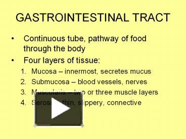 PPT – GASTROINTESTINAL TRACT PowerPoint presentation | free to view ...