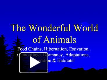 Food Chains, Hibernation, Estivation, Camouflage, Dormancy, Adaptations ...