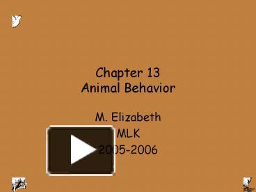 Chapter 13 Animal Behavior presentation | free to download