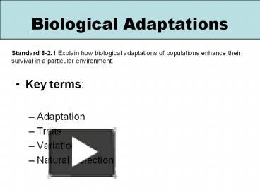 Biological Adaptations presentation | free to view