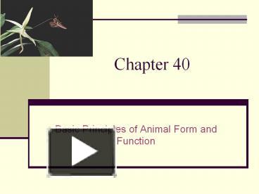 Basic Principles of Animal Form and Function presentation | free to view