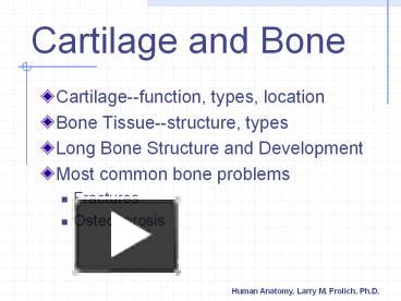 PPT – Cartilage and Bone Cartilage--function, types, location Bone ...