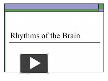 Rhythms of the Brain presentation | free to view