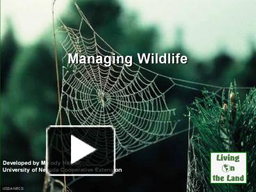 Managing Wildlife presentation | free to download
