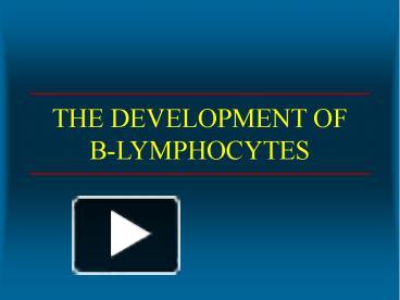 THE DEVELOPMENT OF B-LYMPHOCYTES presentation | free to download
