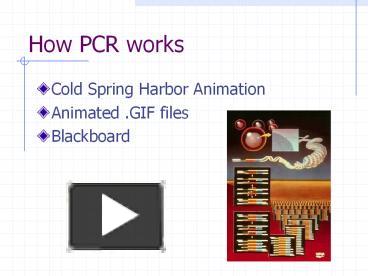 How PCR works Cold Spring Harbor Animation Animated .GIF presentation ...