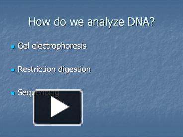 How do we analyze DNA? presentation | free to download
