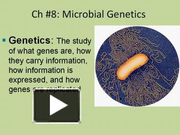 PPT – Ch 8: Microbial Genetics PowerPoint presentation | free to view ...