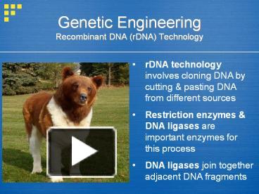 Genetic Engineering Recombinant DNA (rDNA) Technology rDNA presentation ...